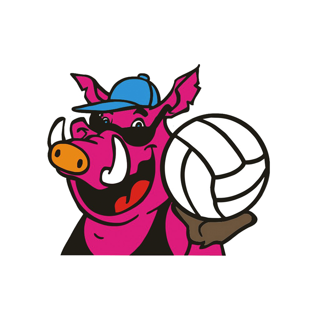 Clubs – Darwin Netball Association