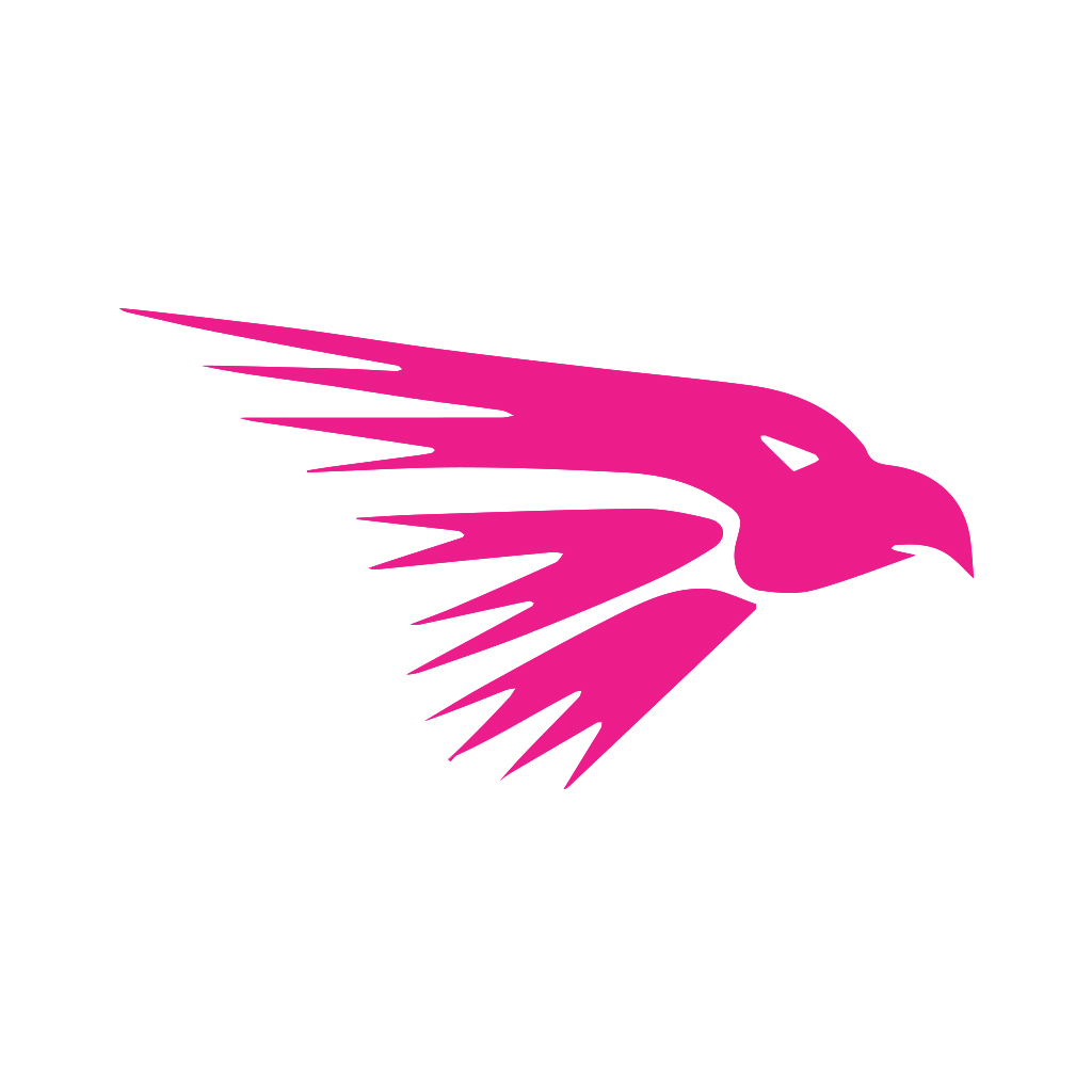 Clubs – Darwin Netball Association