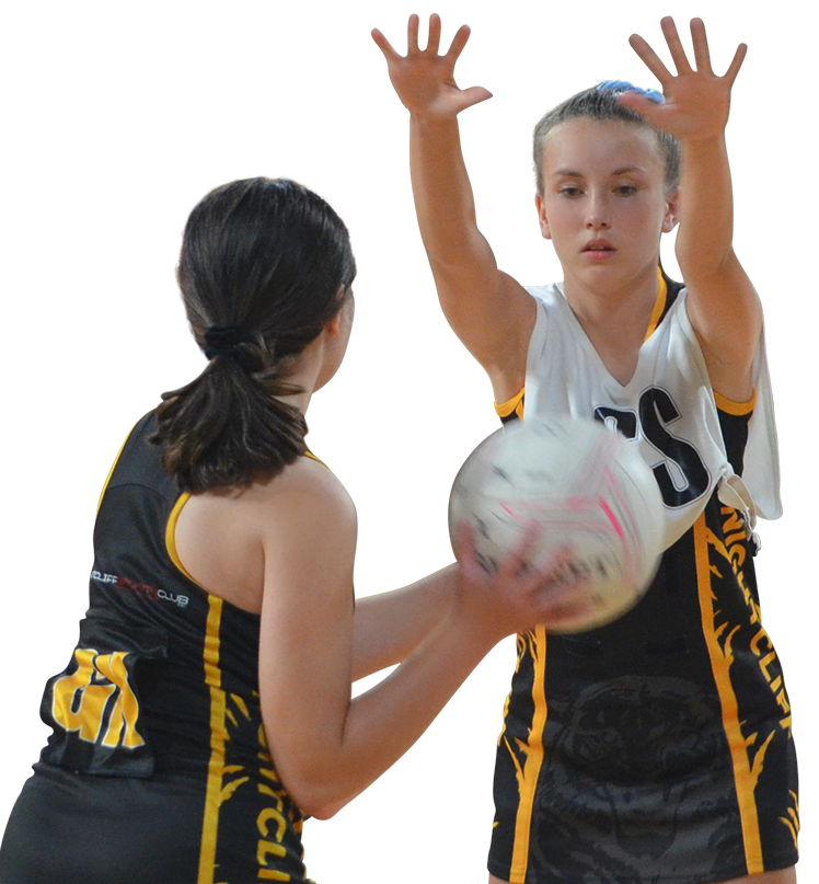 Darwin Netball Association
